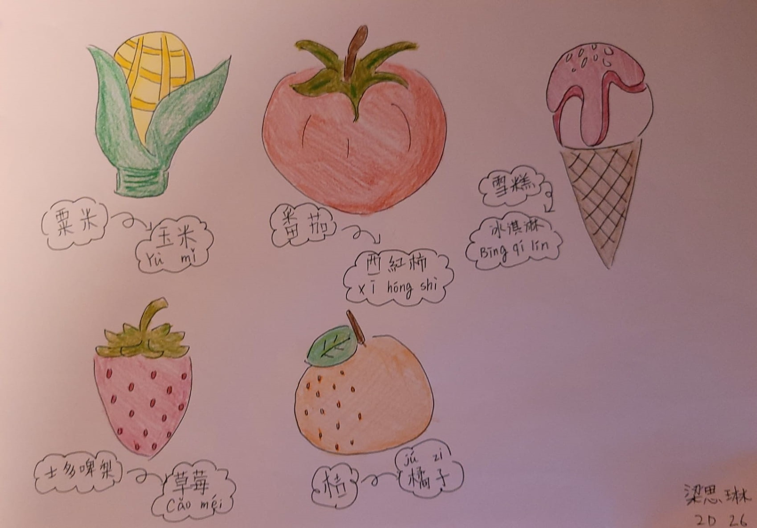 亞軍 - 梁思琳(2D)